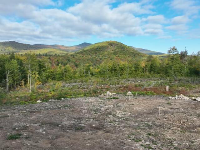 314 Ossipee Mountain Road