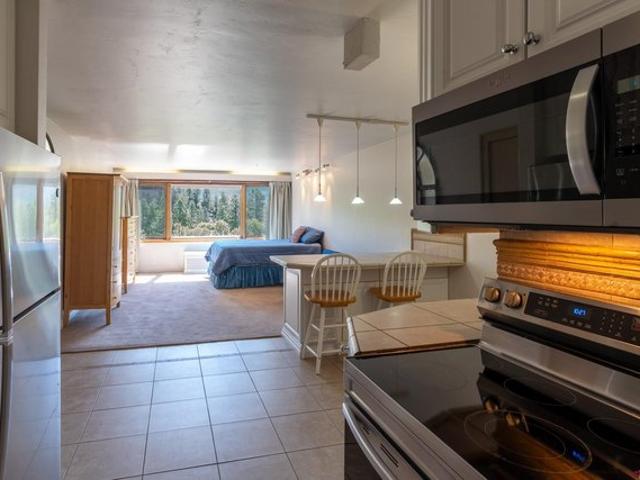 314 N Tamarron Dr Unit 101, Durango, CO 81301