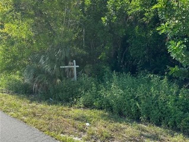 314 NW 5th Ter, Cape Coral, FL 33993