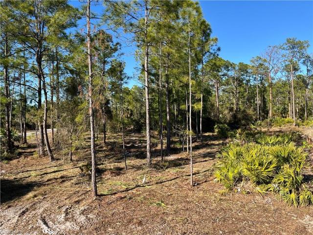 314 Spokane Ave, Lehigh Acres, FL 33972 | MLS #226009