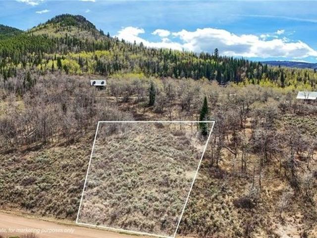 31550 Navajo Trl Lot 181, Oak Creek, CO 80467