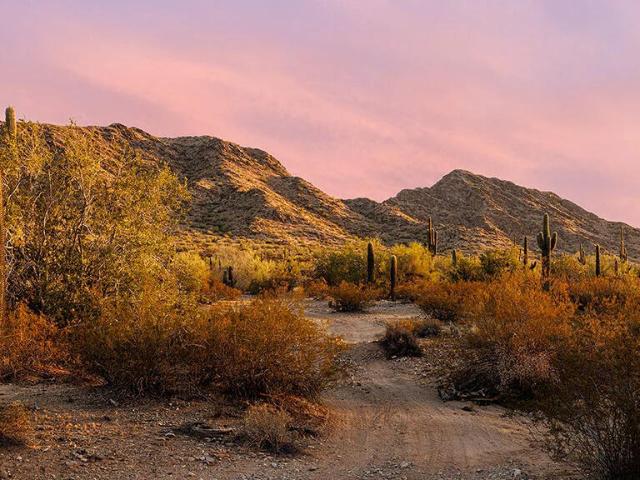31551 n goldfield road