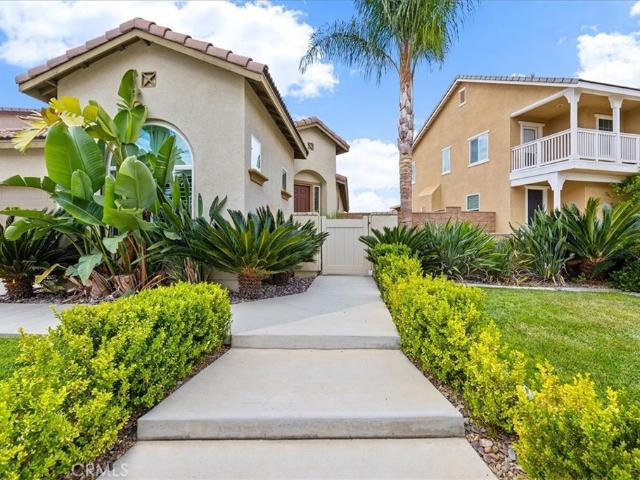 31559 Rose Sage Way