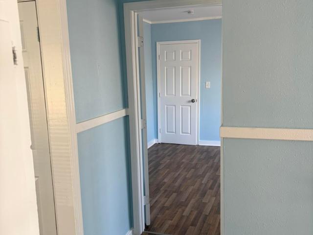 3155 Shirley Drive
