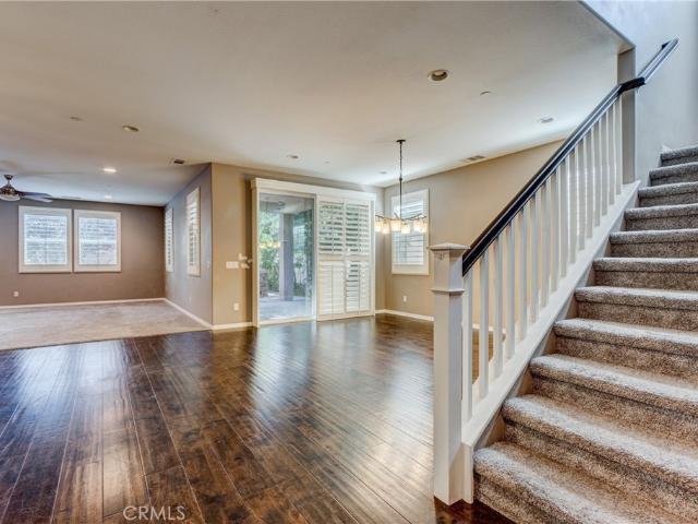 31562 Shoregrass Street