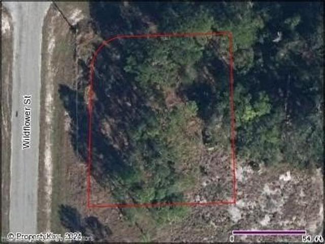 3156 Miller Ave, Lake Placid, FL 33852