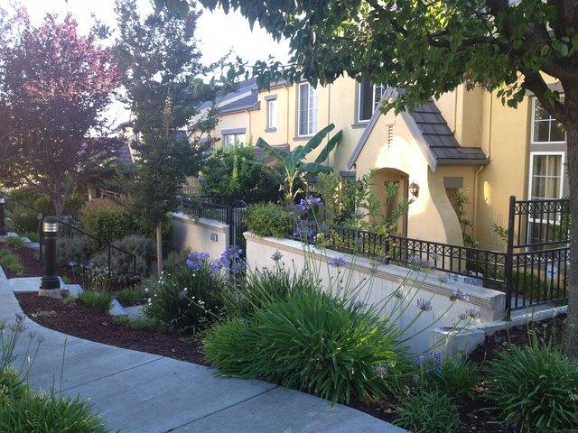 3156 Ledoux Ct, San Jose, CA 95135
