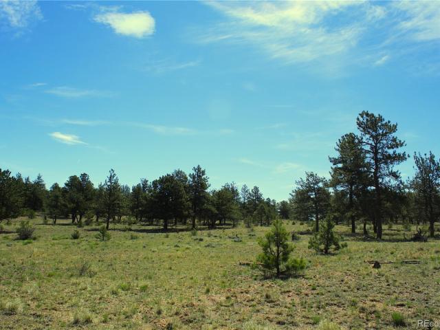 31572 Highway 9