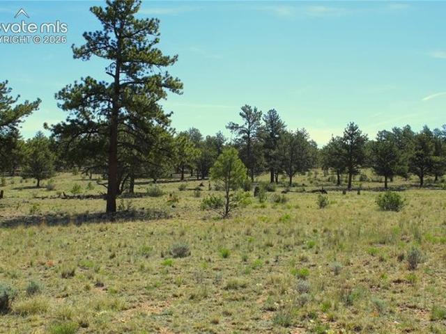 31572 Highway 9, Fairplay, CO 80449