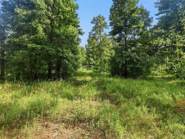 31577 Bohlssen Rd, New Caney, TX 77357