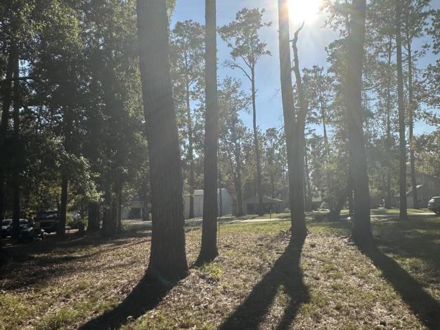 31581 River Pines Dr, Springfield, LA 70462 | MLS #BR2025021