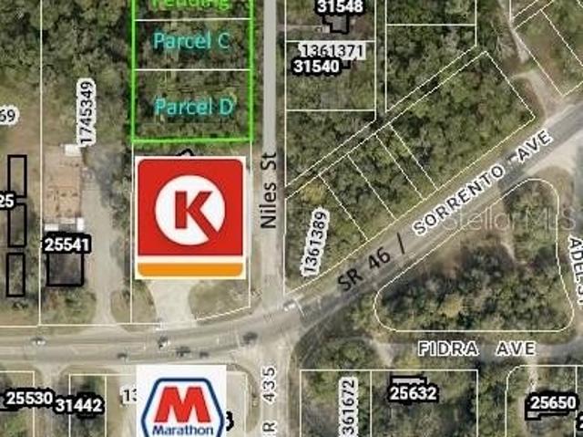 31595 Niles St, Mount Plymouth, FL 32776