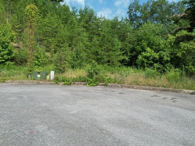 3150 Cherokee Valley Dr, Sevierville, TN 37862
