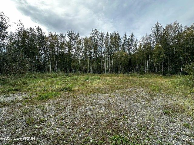 3151 Badger Rd, North Pole, AK 99705
