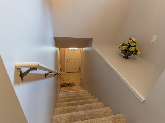 3151 Primrose Lane