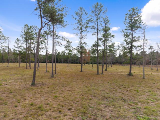 3152 Rd, Livingston, TX 77351 | MLS #85423 | Compass