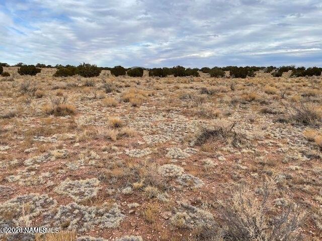 3153 E Judy Dr, Williams, AZ 86046