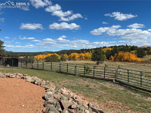 3153 Homestake Pl, Florissant, CO 80816 | MLS #3678