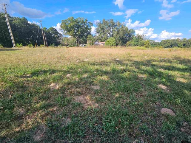 315 & Cr, Chandler, TX 75758 | MLS #25015