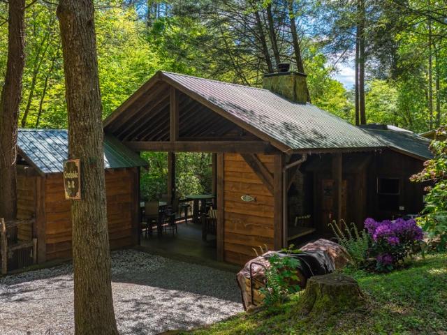 315 Fightingtown Dr, Blue Ridge, GA 30513 | MLS #430083