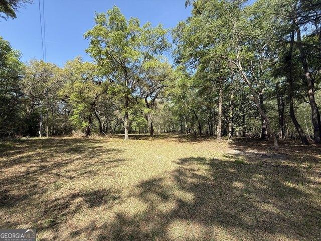 315 High Bluff Rd, Rincon, GA 31326