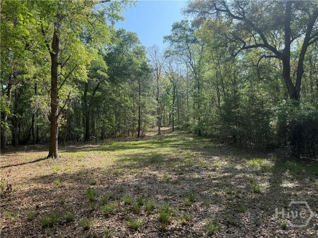 315 High Bluff Road