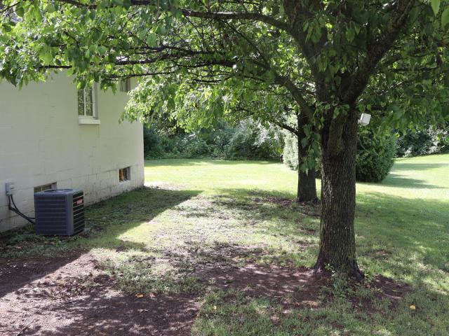 315 W 3rd Street