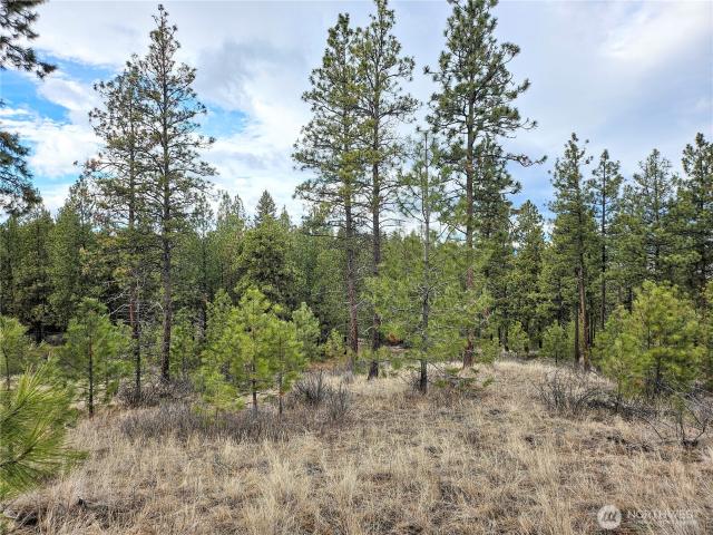 315 W Corral Drive