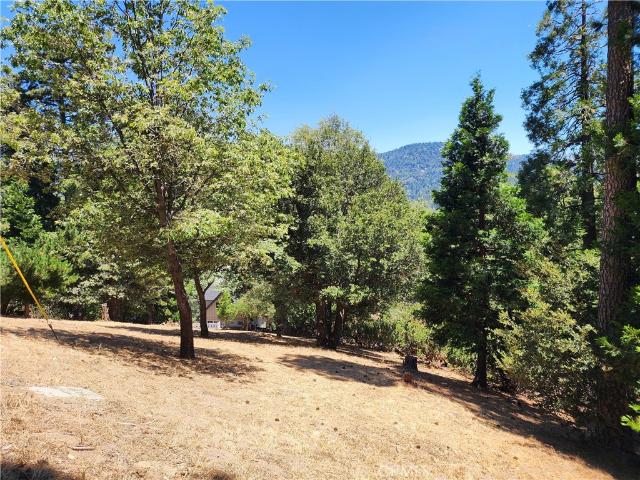 315 Weisshorn Drive