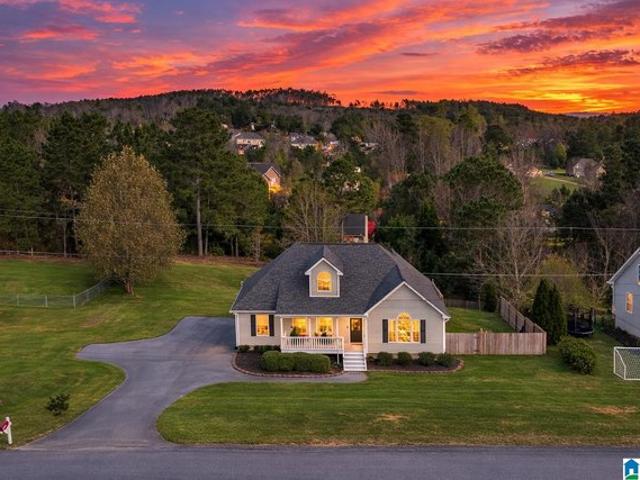 315 Ty Ln, Warrior, AL 35180