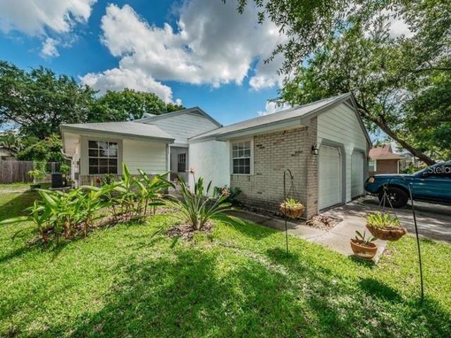 3165 Phlox Dr, Palm Harbor, FL 34684