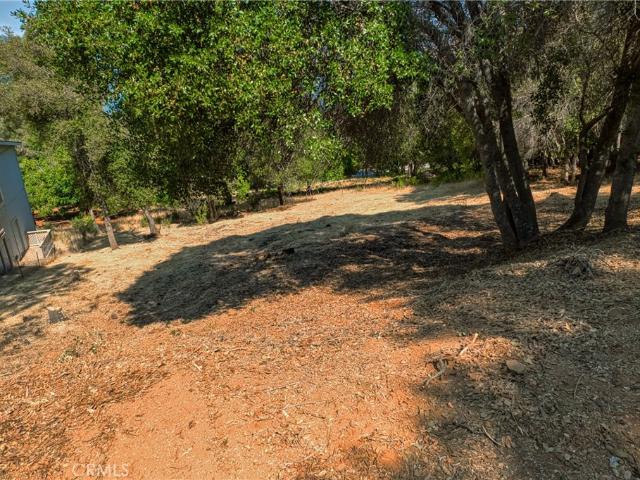 3167 Skyline Drive