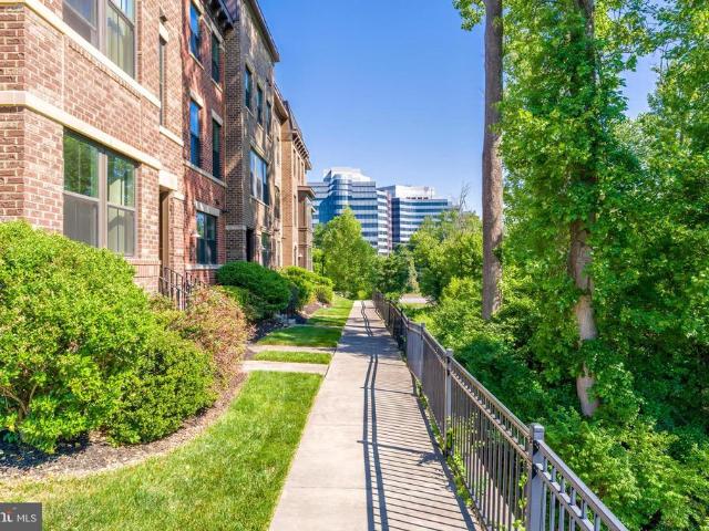 3167 Virginia Bluebell Court