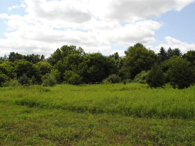 3168 Luna Drive