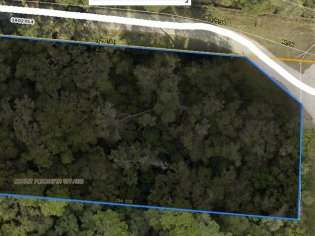 31699 Niles St, Mount Plymouth, FL 32776