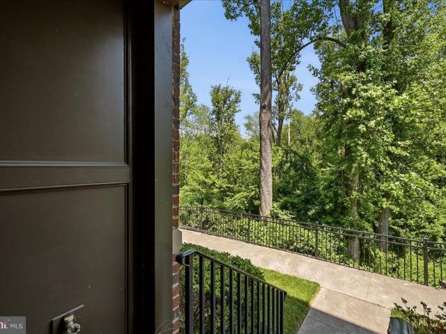 3169 Virginia Bluebell Court