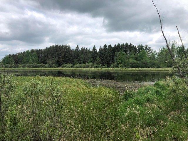 31603 Brook Park Rd, Brook Park, MN 55007
