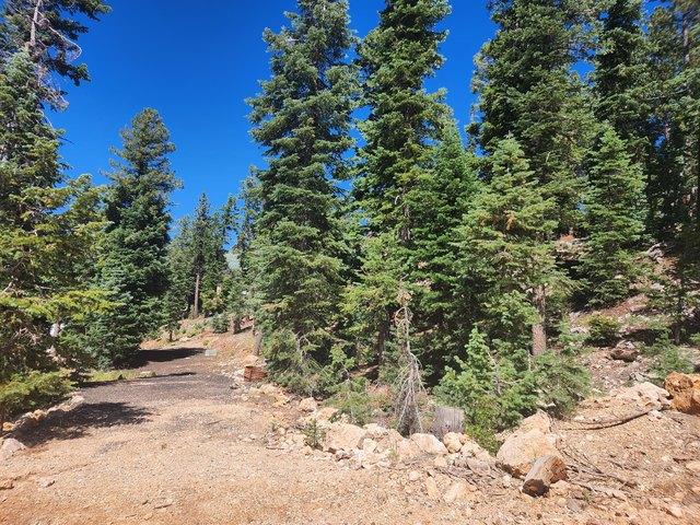 3160 Pinecrest Dr, Duck Creek Village, UT 84762