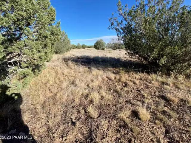 3160 W Mesa Dr, Ash Fork, AZ 86046 MLS 1079564