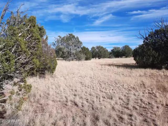 31616 W Calle Barril, Seligman, AZ 86337 MLS 1078760