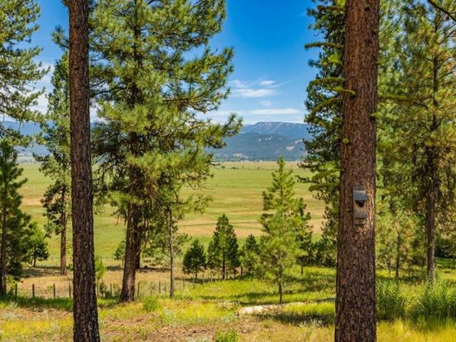 3162 Timber Ridge Dr Lot 10, McCall, ID 83654
