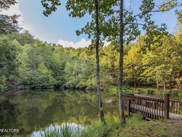 3163 Sourwood Way