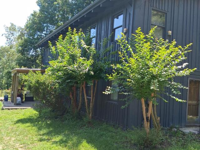 316 318 Cane Creek Mountain Road