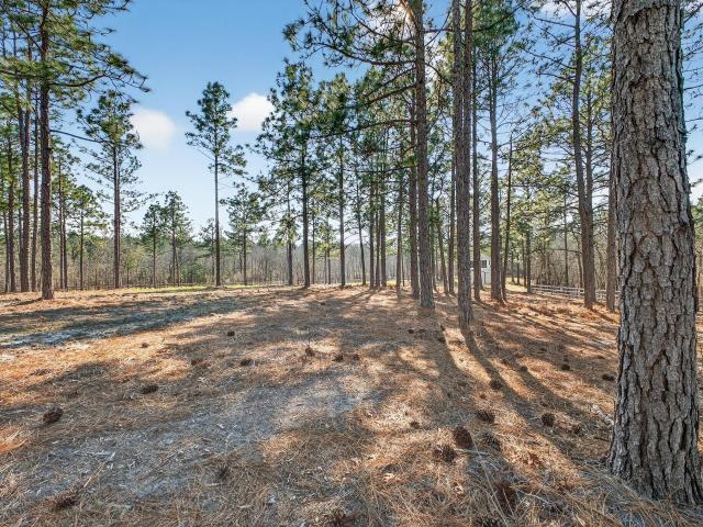 316 Cadle Crossing Road