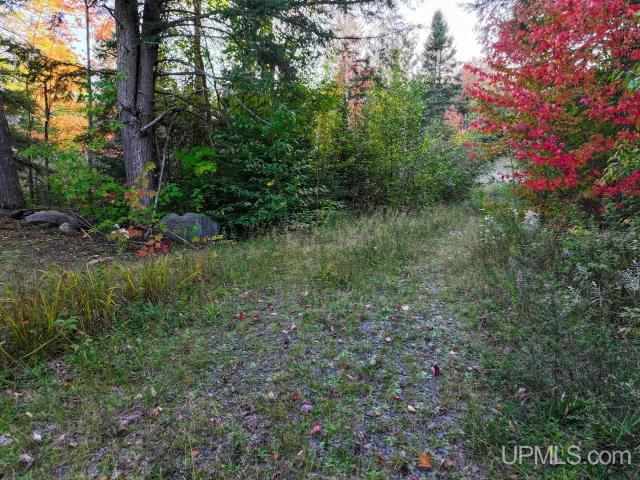 316 acres US 141 Highway
