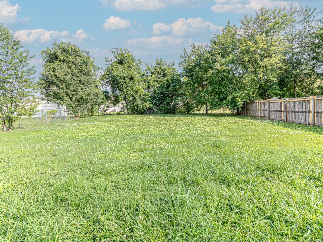 316 Audrea Ln
