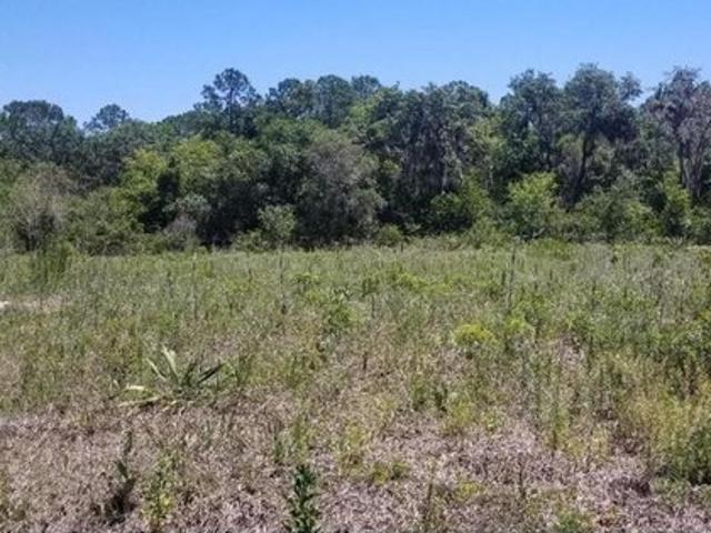 316 Bass Ln, Kissimmee, FL 34759