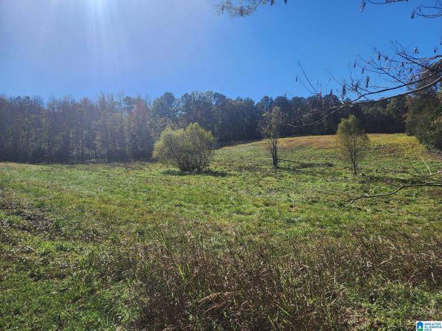316 Highway 47 # acreage