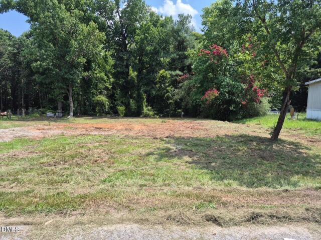 316 Morehead Drive
