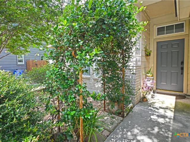 316 Meadow Park